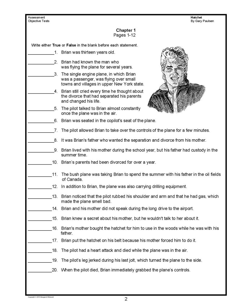 Hatchet Novel Study Guide/Tests Questions Worksheets Vocab