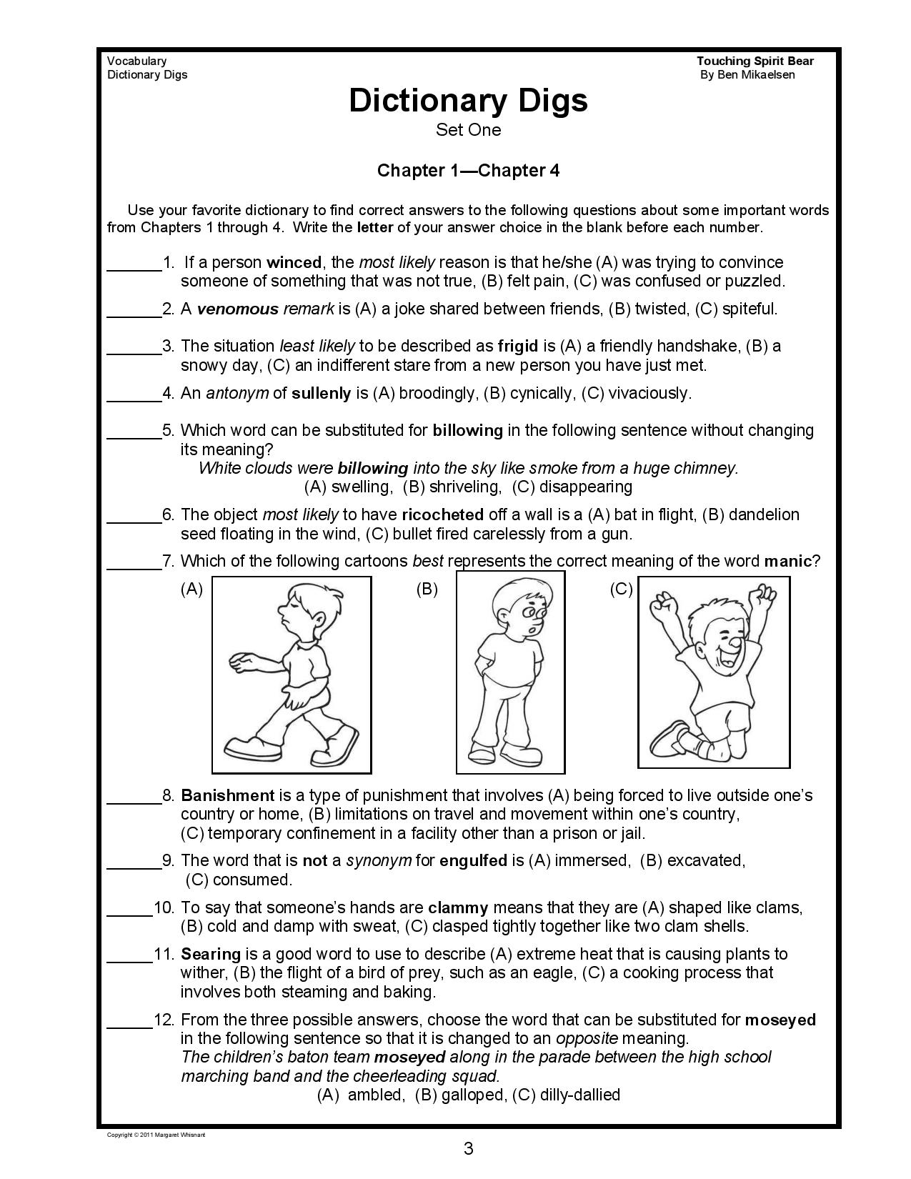 Touching Spirit Bear Novel Study Guide Tests Worksheets|