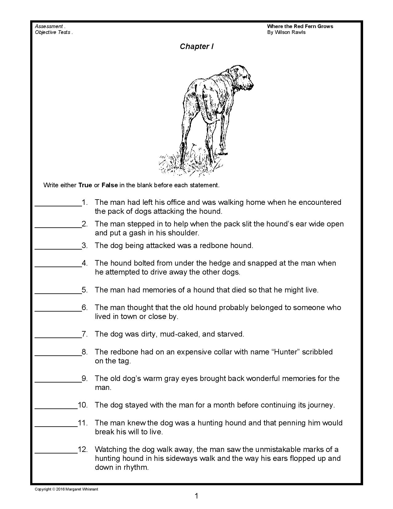 Where the Red Fern Grows Comprehension Tests/ CCSS Quizzes